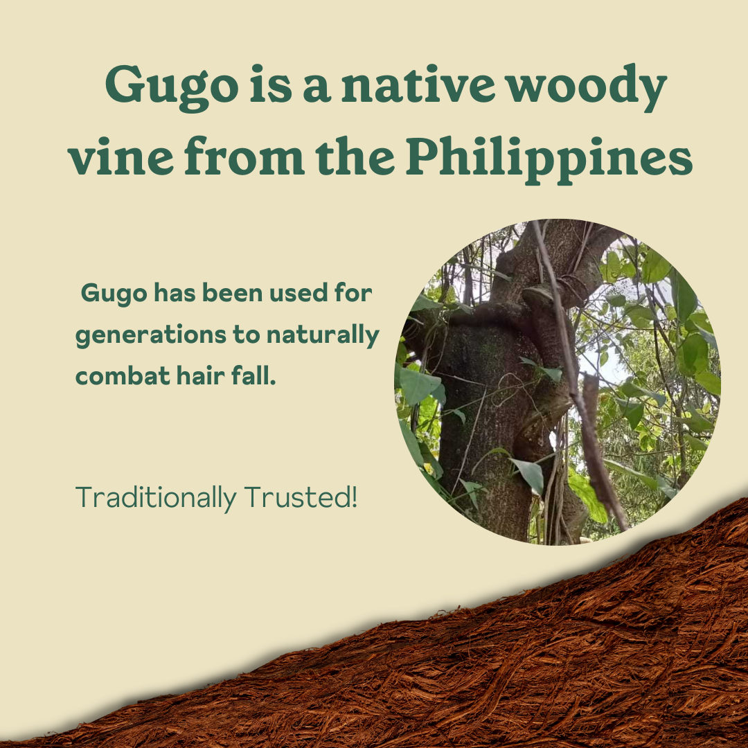 Zenutrients Gugo Strengthening Shampoo (Reduces Hairfall, Natural, Sul